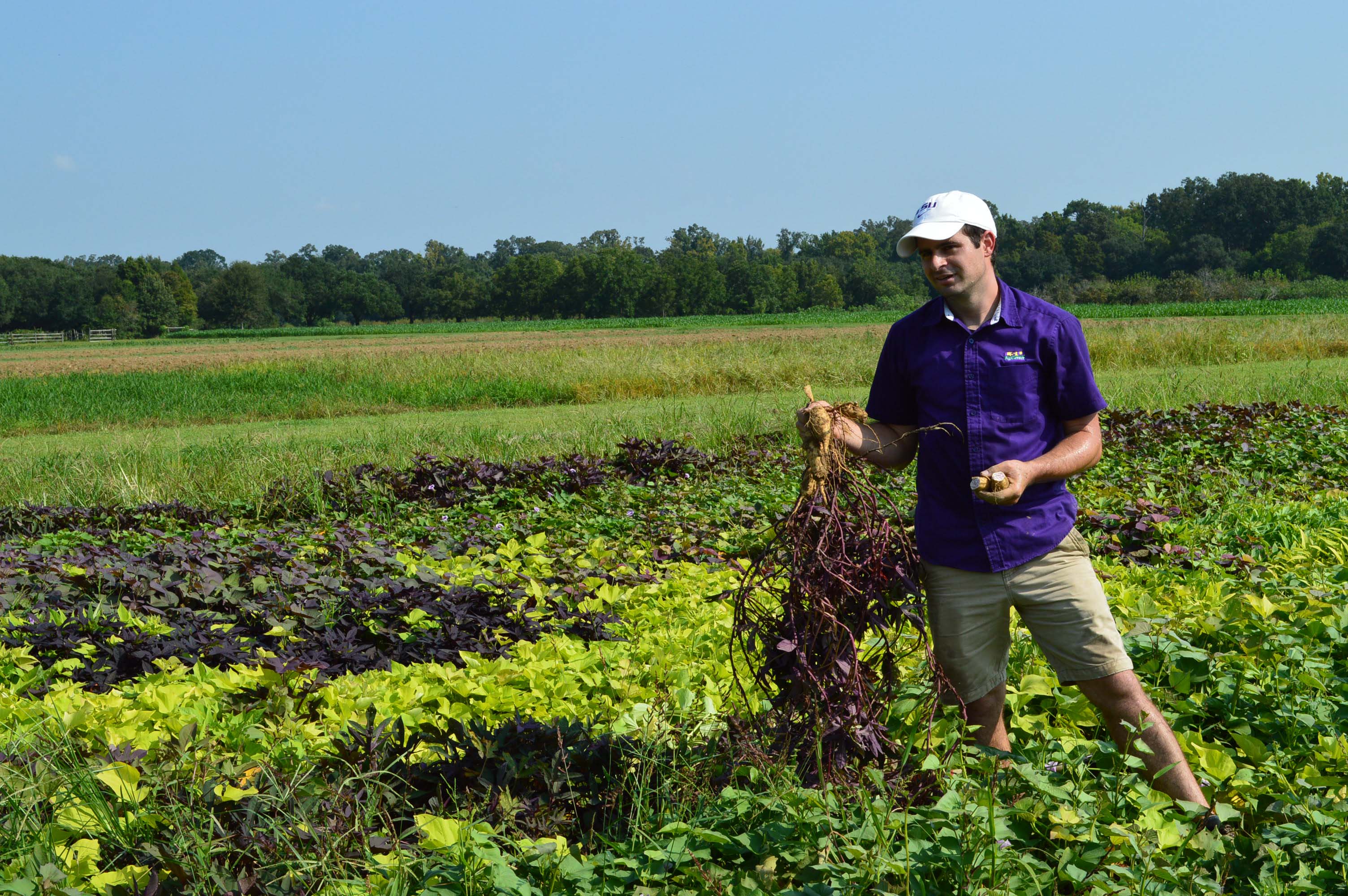 Plant Pathology Academics